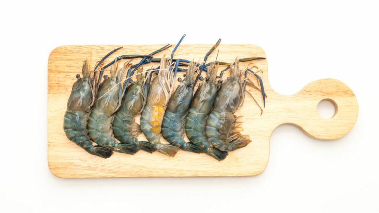 17 Types of Shrimp with Pictures