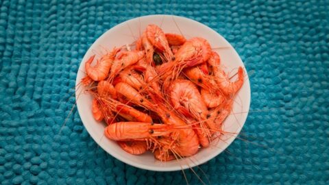 17 Types of Shrimp with Pictures